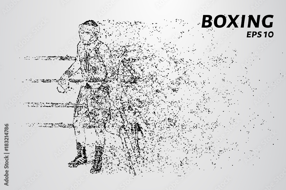 The Boxing of the particles. Boxer in the corner of the ring. Vector ...