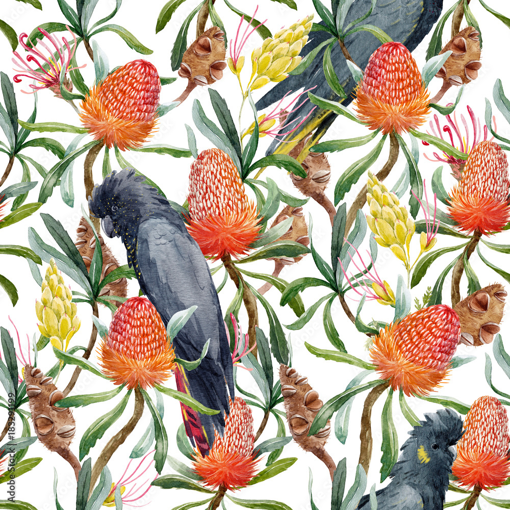 Watercolor tropical australian pattern Stock Illustration | Adobe Stock