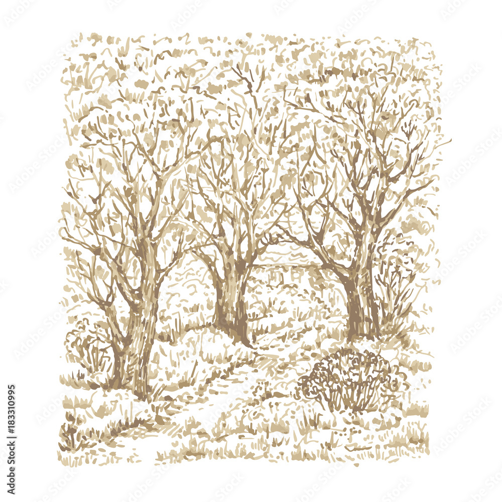 Hand drawn beautiful garden with trees. Sketch, vector illustration ...