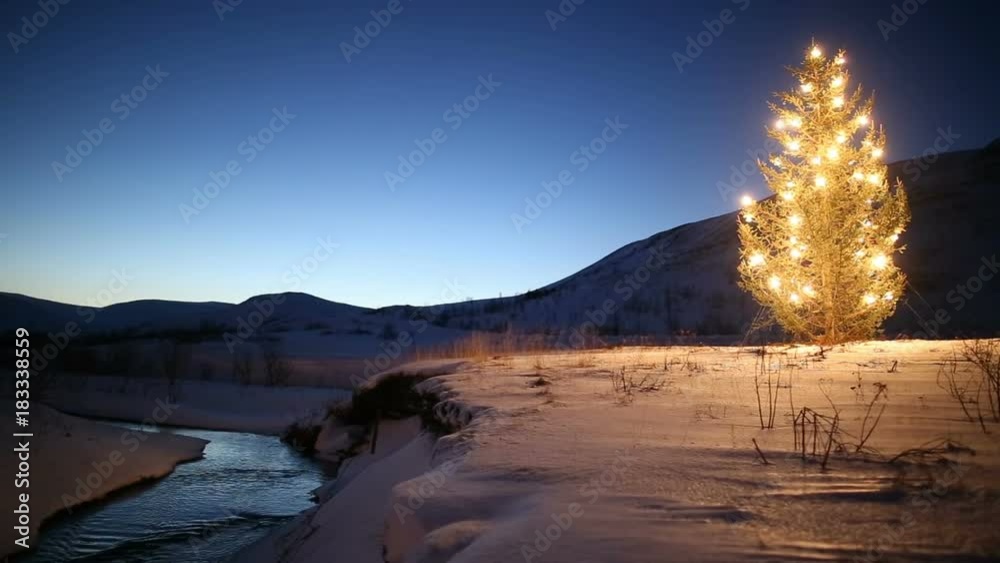 christmas tree glowing lights by mountain stream in winter, snow and ...