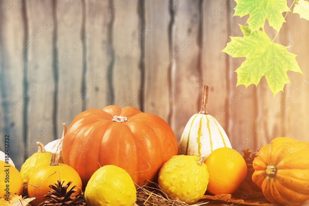 Autumn. Stock Photo | Adobe Stock