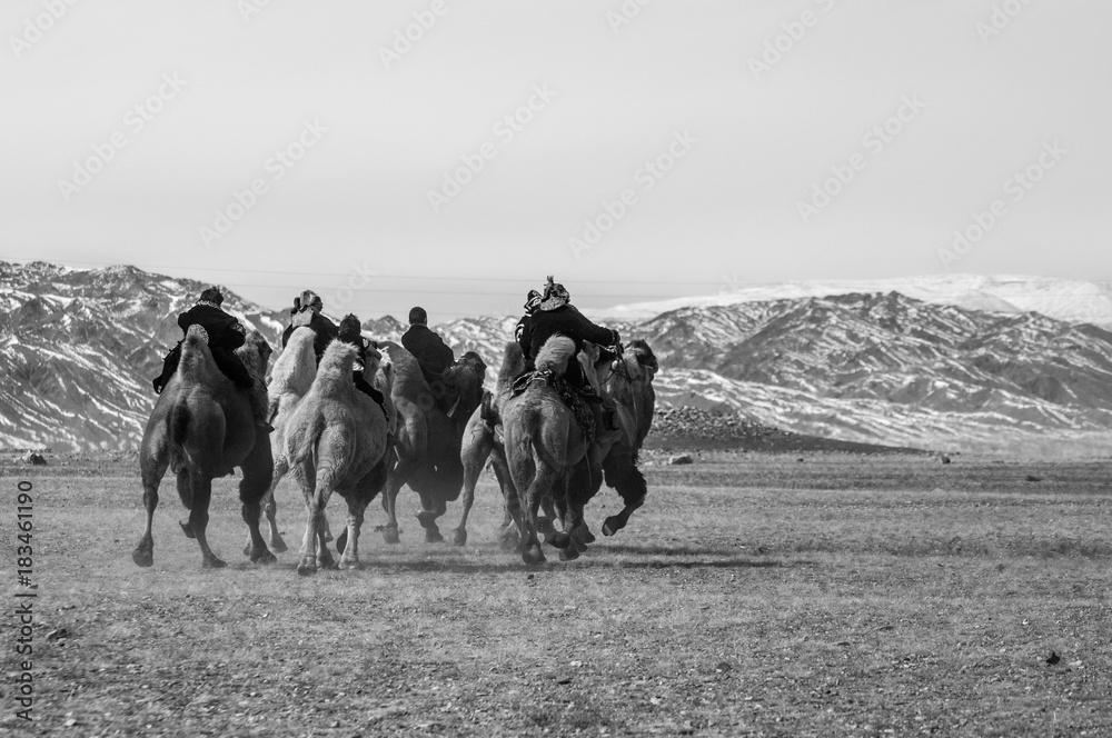 Poster A group of kids racing in a camel running competition during the ...