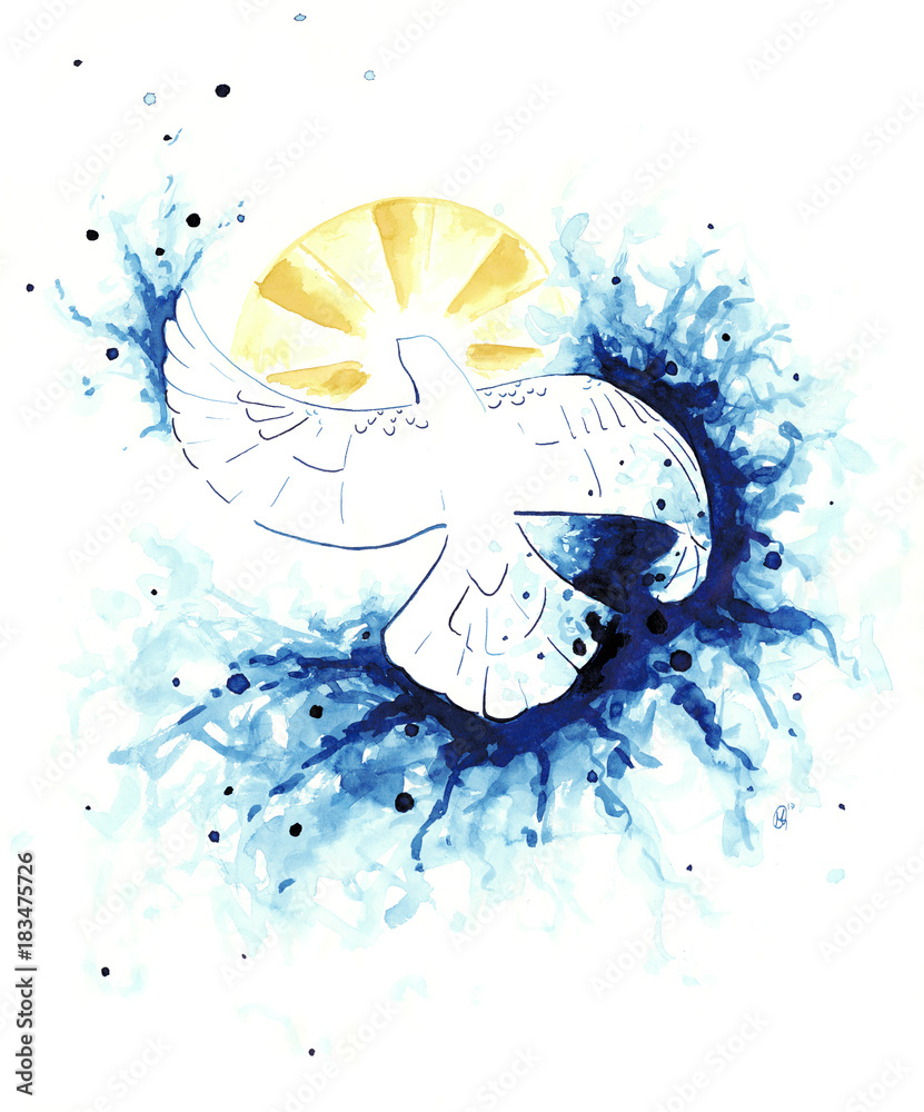 Taufsymbol Taube und Wasser ilustração do Stock | Adobe Stock