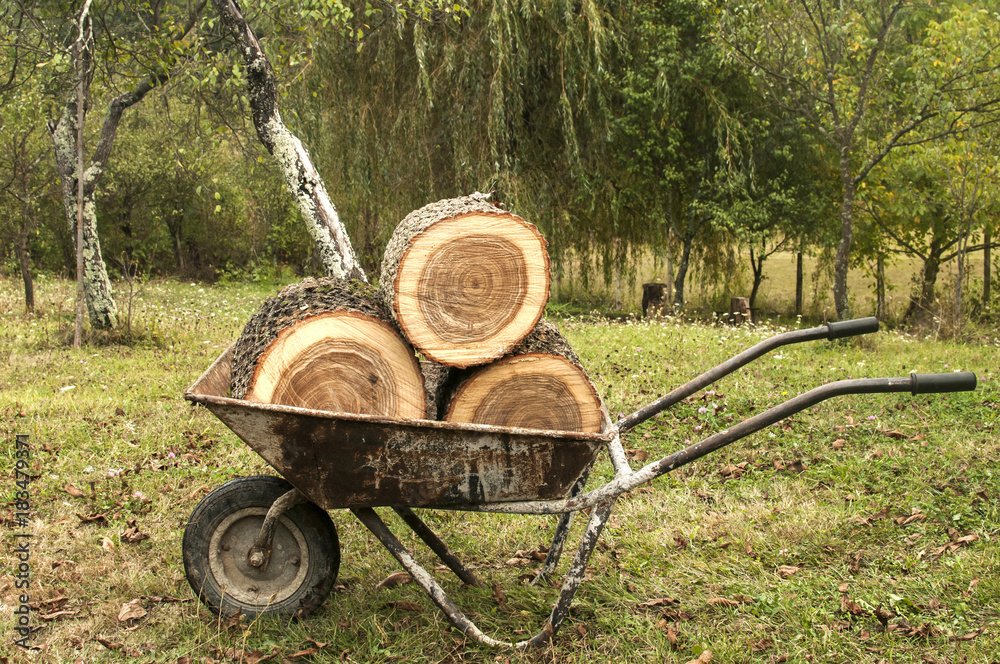 Used garden wheelbarrow loaded with oak tree stumps on grass meadow ...