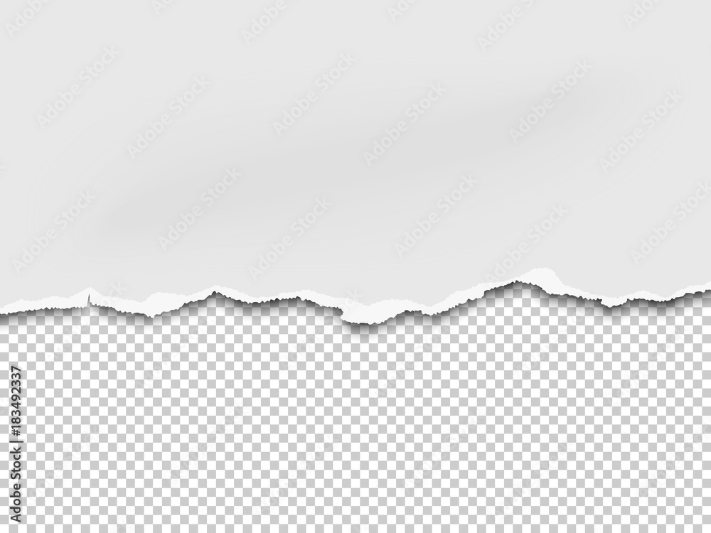 Torn a half sheet of white paper from the bottom. Isolated on ...