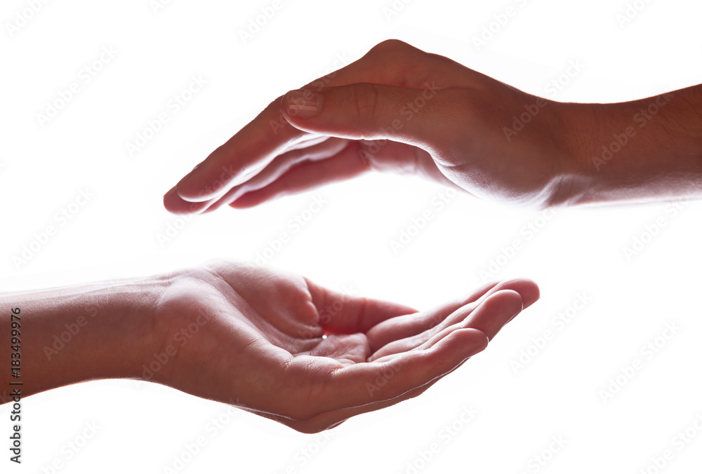 Woman or female hands cupped in a protection, protection, safety or ...