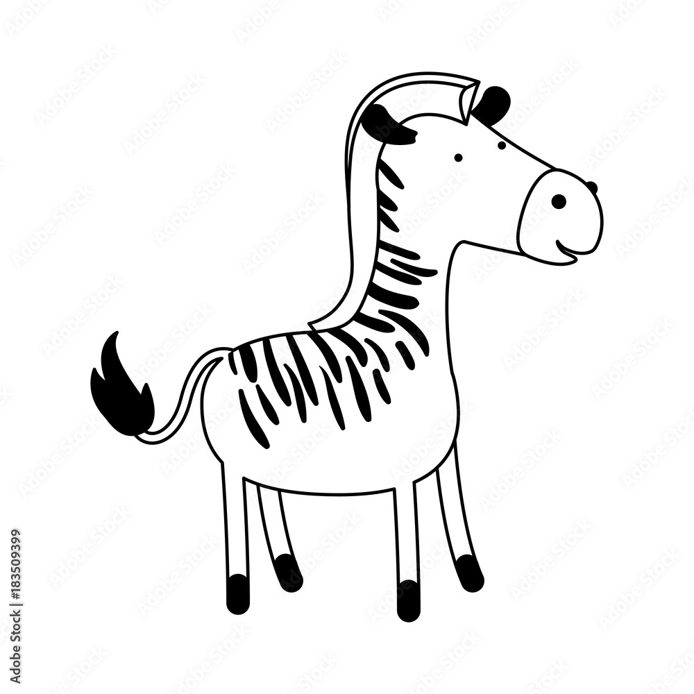 Zebra Cartoon Black And White