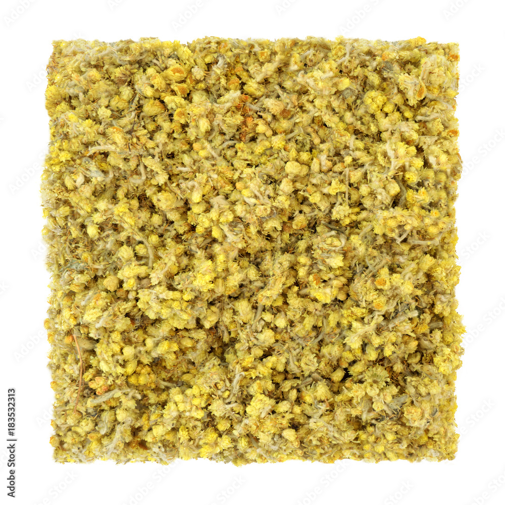 Everlasting herb flowers used in alternative herbal medicine as a ...