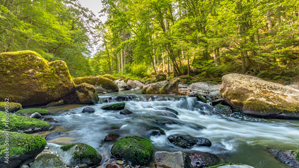 Beautiful nature river and natural environment. Fast stream river and ...