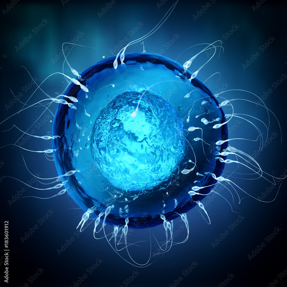 Round Cells In Sperm