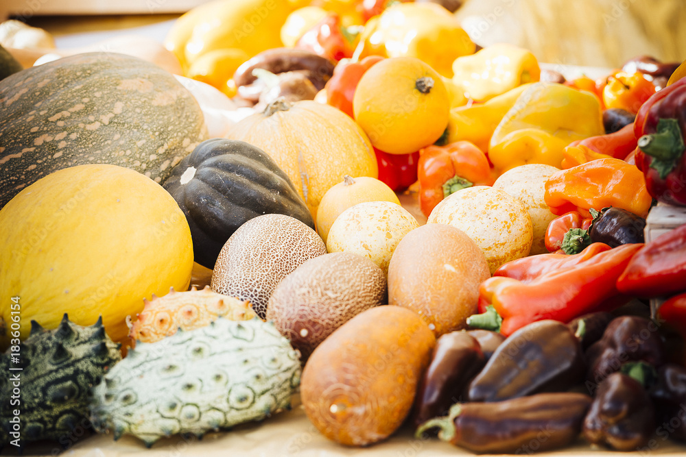 Arrière plan légumes colorés, courges et poivrons Stock Photo | Adobe Stock