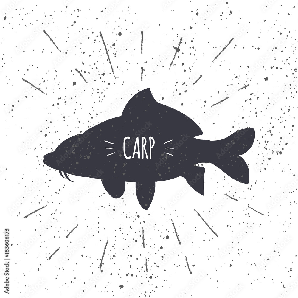 Hand drawn common carp icon fish in black and white color with textured ...
