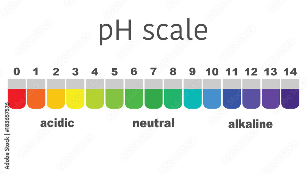 scale of ph value for acid and alkaline solutions, infographic acid ...