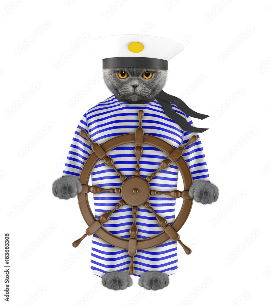Cat dressed as a sailor. Isolated on white Stock Illustration | Adobe Stock