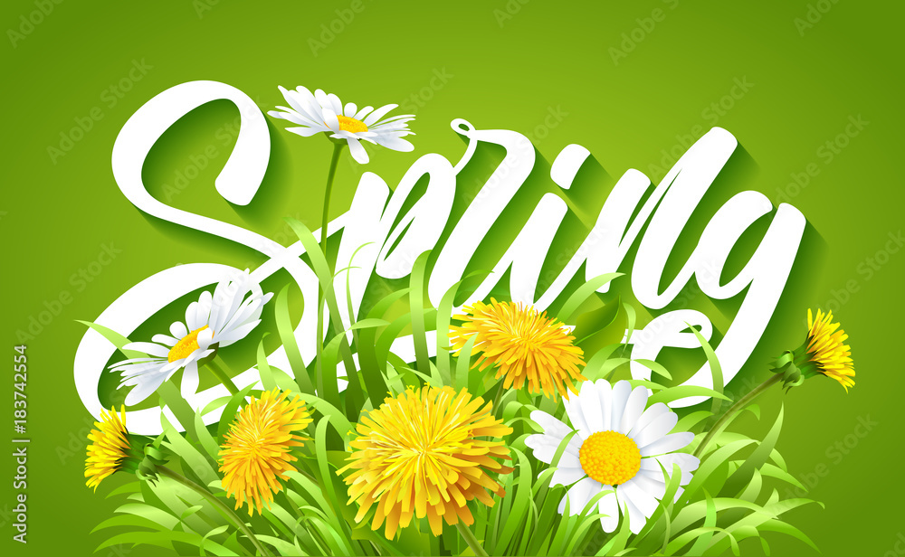Inscription Spring Time on fresh spring background with grass ...