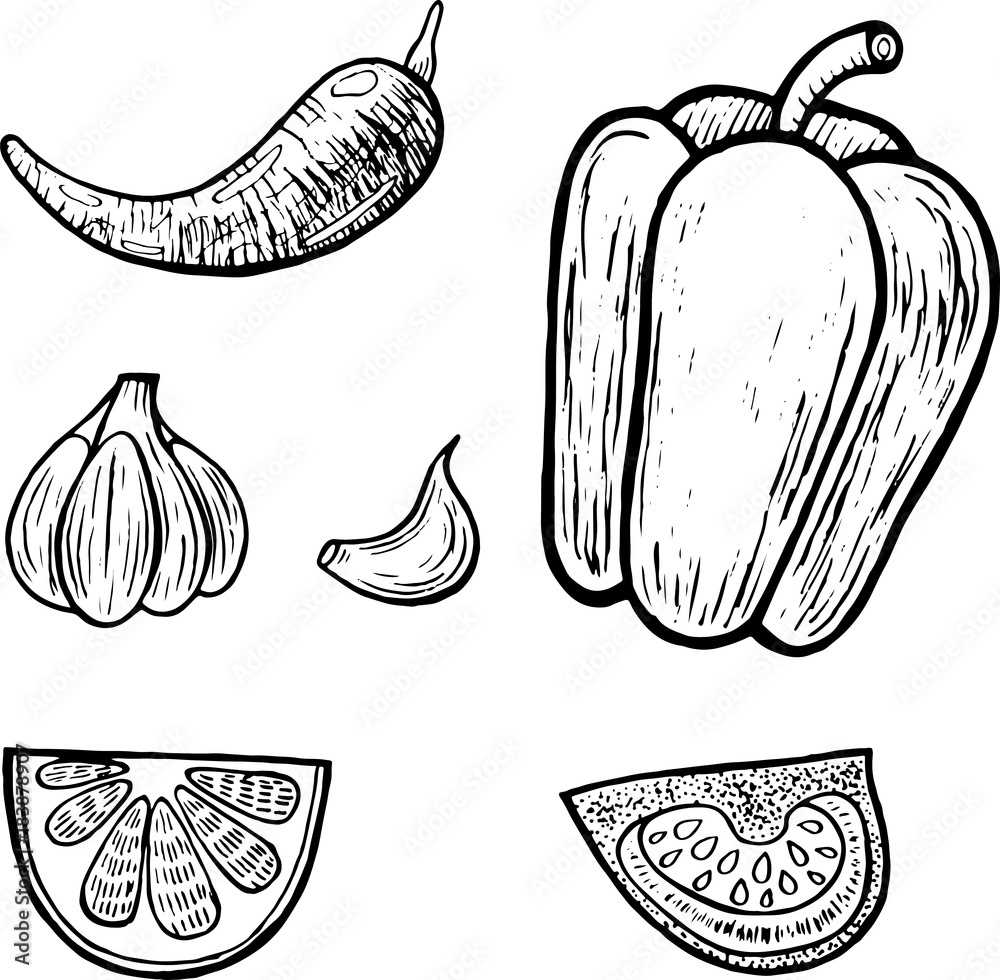 Mexican vegetables set. Graphic coloring page for adults. Vector ...