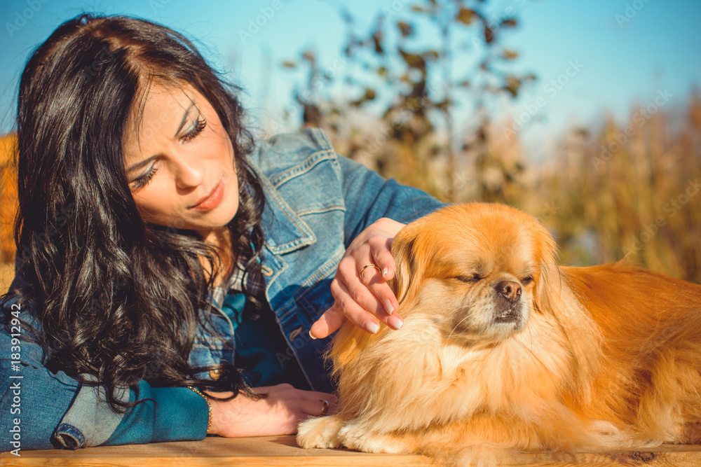 Senior dog owner girl play with pet in park outdoor, brunette girl kiss ...