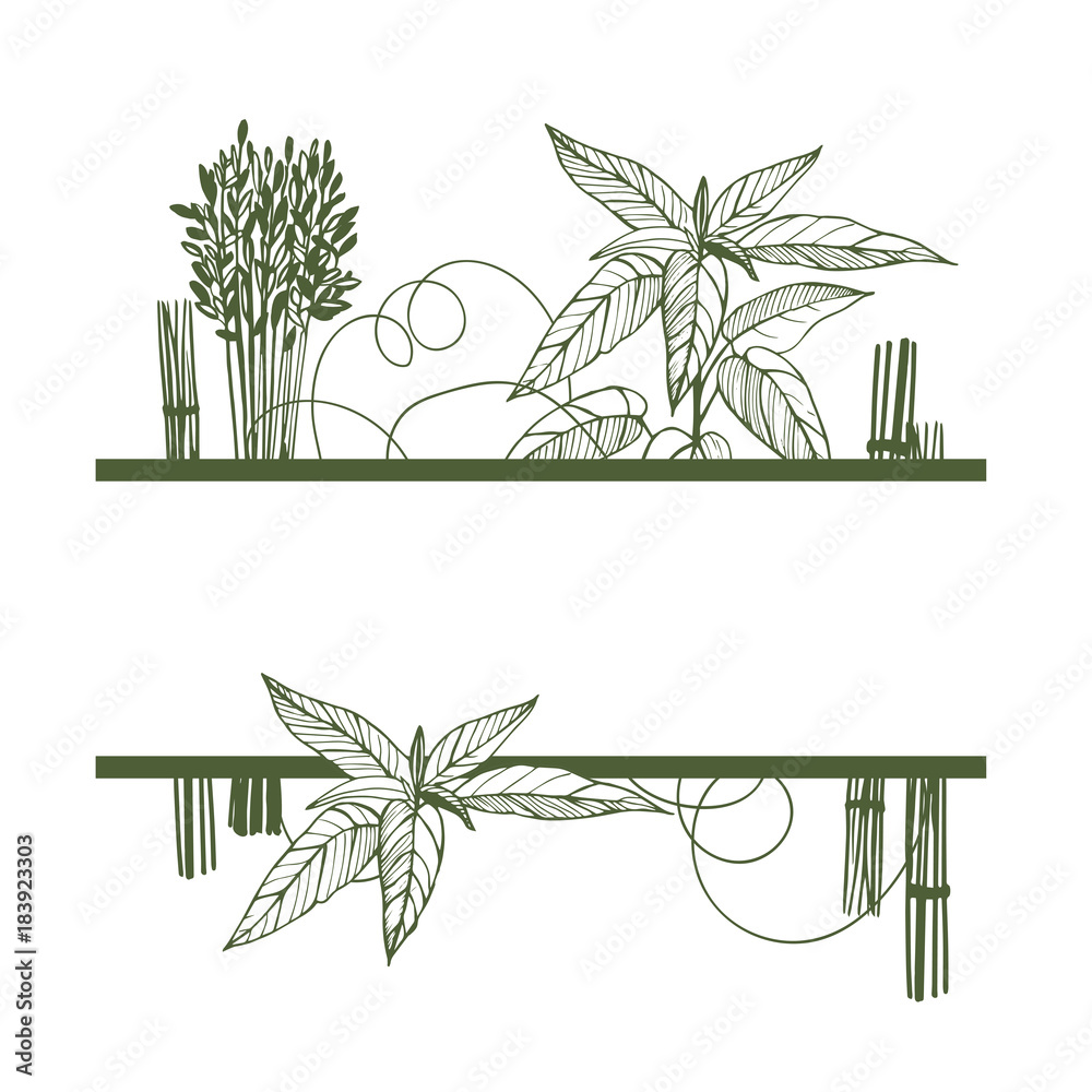 Vector frame with jute. Hand drawn plants. Jute fibers. Stock Vector ...