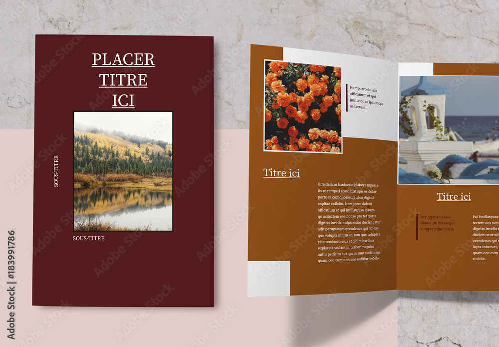 Mise en page classique de brochure Stock Template | Adobe Stock