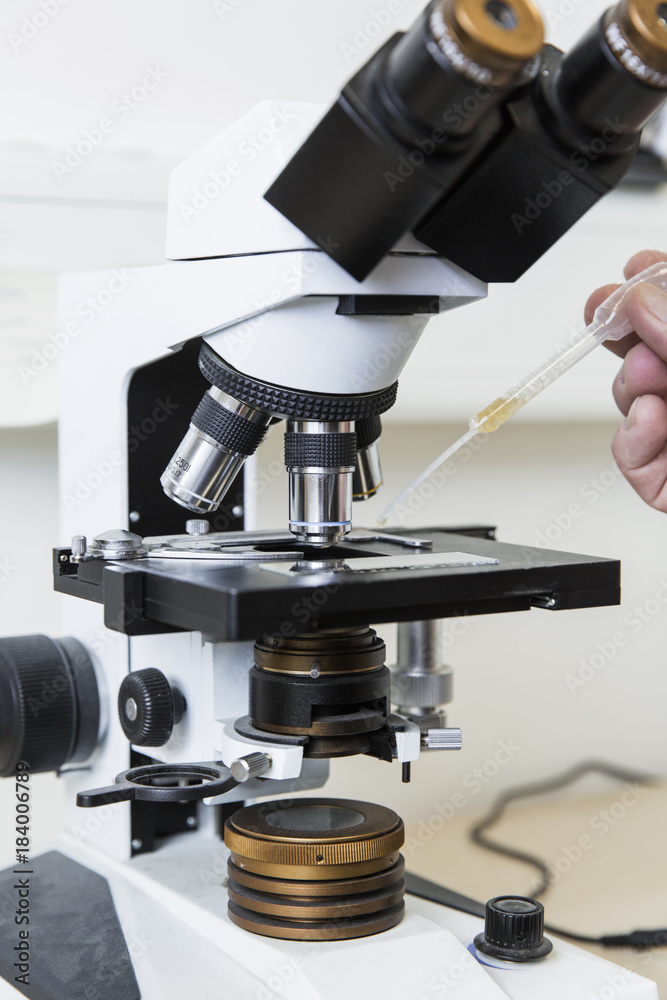 Hand holding pipette dropping a sample for a microscope Stock Photo ...