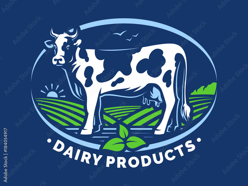 Dairy cow with horns, standing on the ground in the background of ...