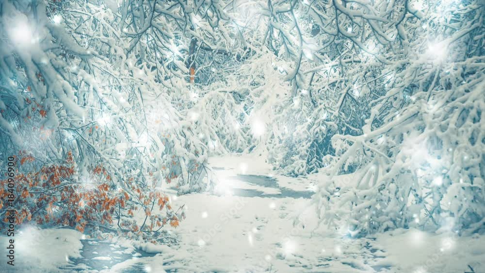 Snow-covered trees plants forest in winter filter, effect. Natural ...