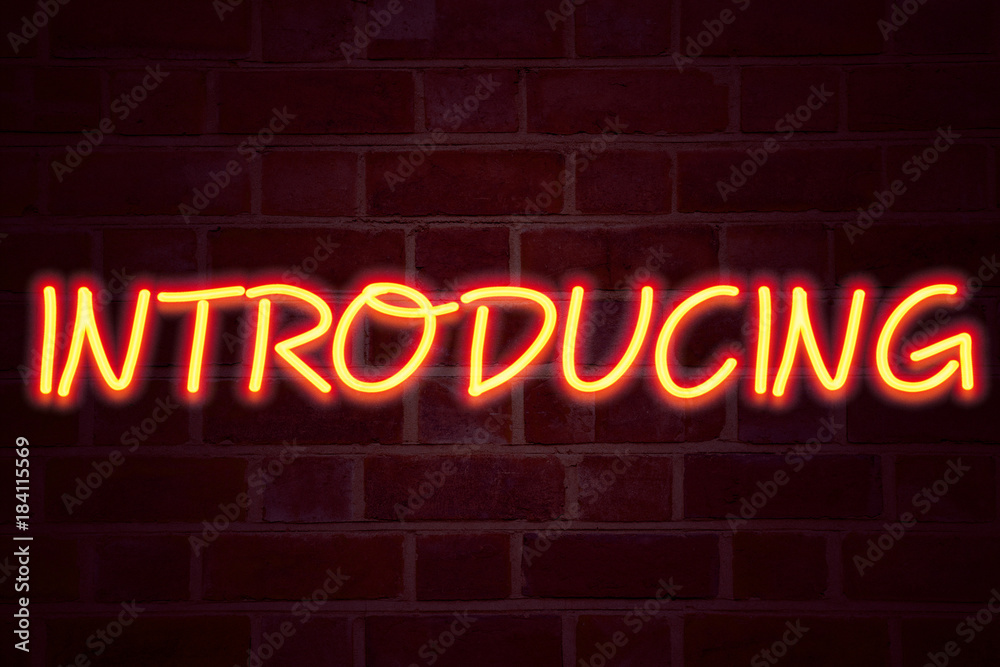 Introducing neon sign on brick wall background. Fluorescent Neon tube ...