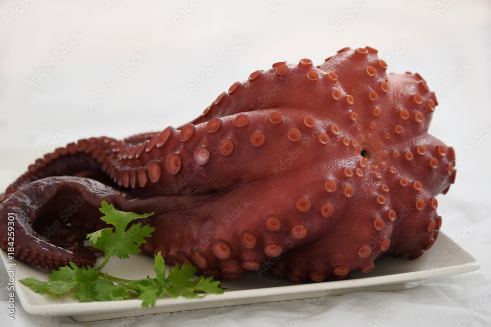 Pulpo entero cocido de Marruecos Stock Photo | Adobe Stock