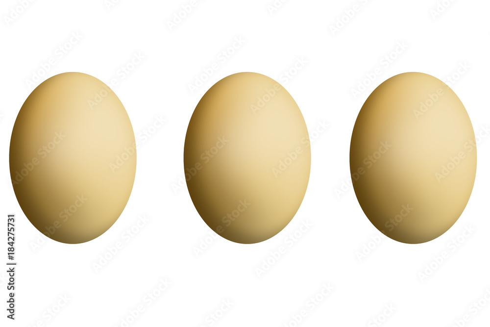 Huevos sobre fondo blanco. Stock Photo | Adobe Stock