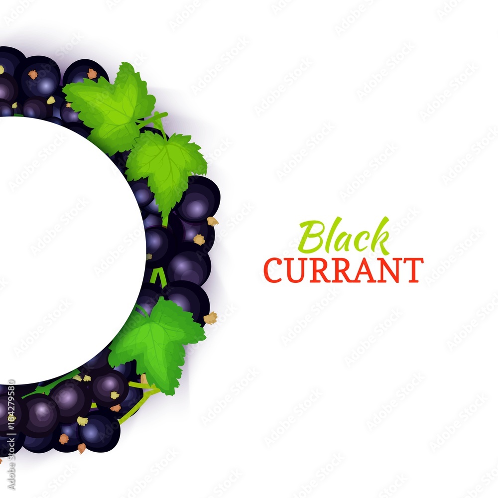 Semicircle colored frame composed of delicious black currant fruit ...