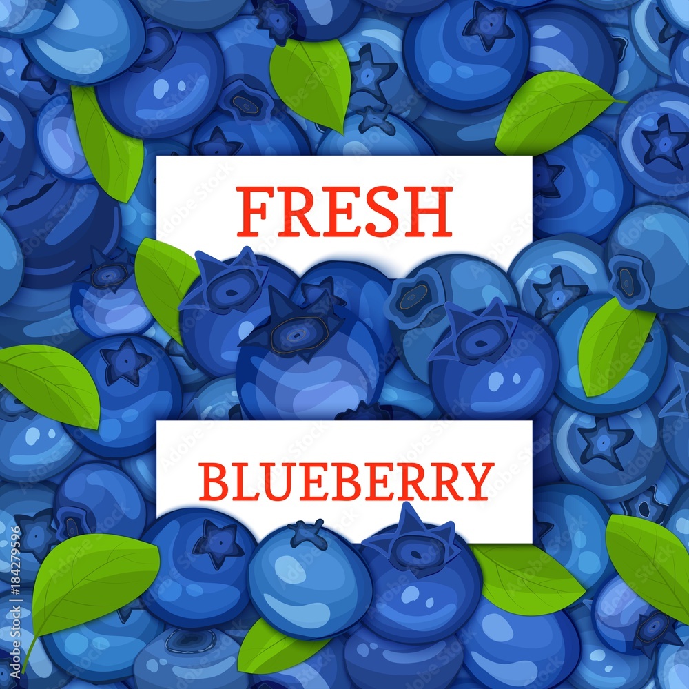Two white rectangle label on blueberry berries background. Vector card ...