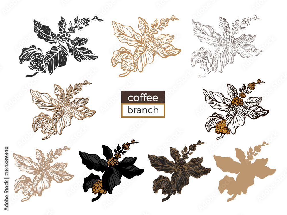 Vector set of coffee tree branch Stock Vector | Adobe Stock