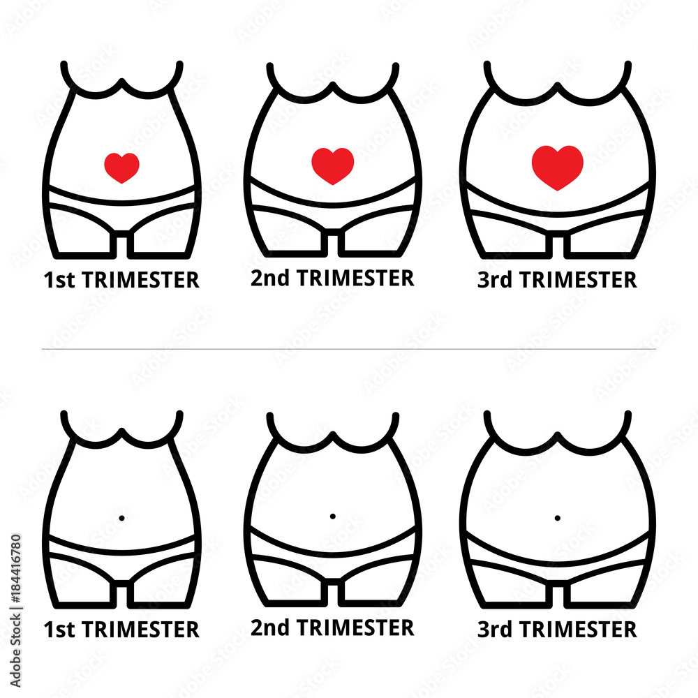 Pregnancy stages icons, pregnant belly design at first, second and ...