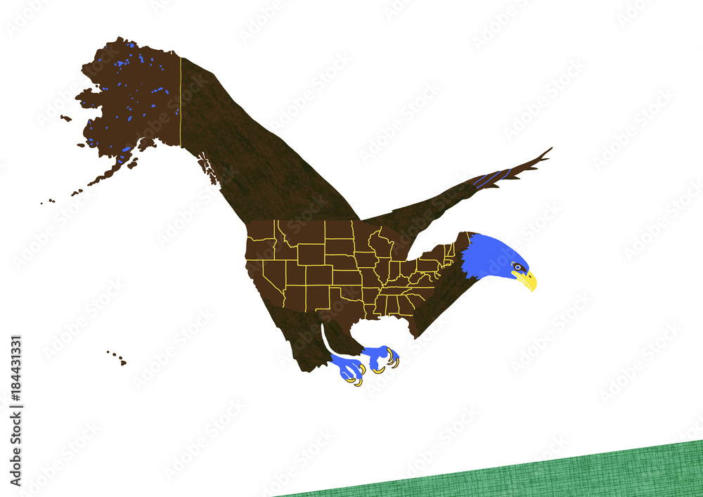 American Bald Eagle - drawing with map Stock Illustration | Adobe Stock