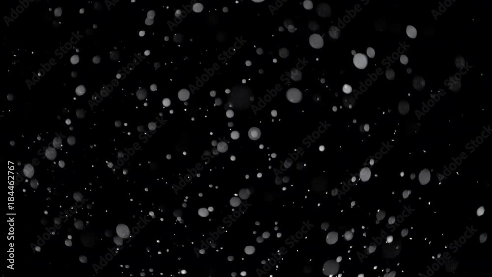 Several snow particles falling down over a black background that you ...