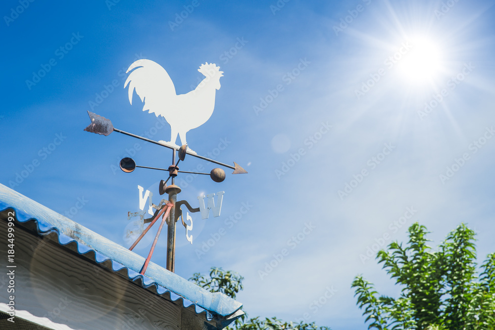 Wind Vane or weather vane chicken style rotate by wind blow to ...