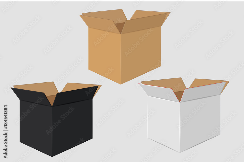 Cardboard Open Box. Side View. Package Design Stock Vector | Adobe Stock