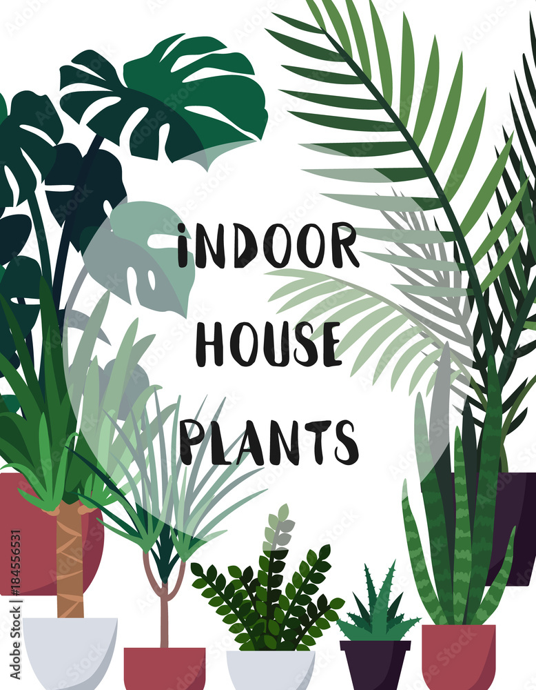 Vector illustration with indoor houseplants. Poster, cover, template ...
