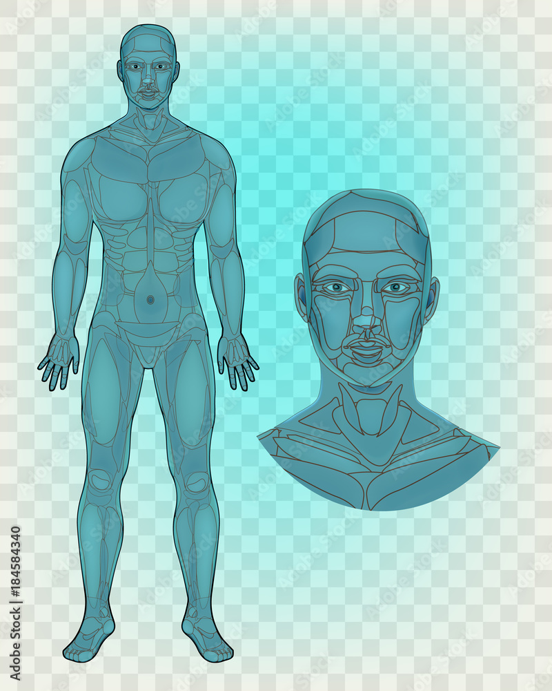 Anatomy of the body man - template. Carcass Black Lines drawing. Stock ...