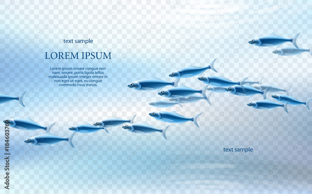 Blue fish group on light background with transparent effect in ...