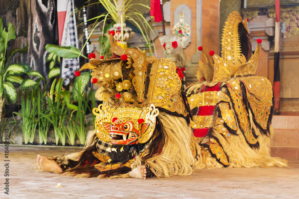 Balinese traditional dance with Barong. Barong is a lion-like creature ...