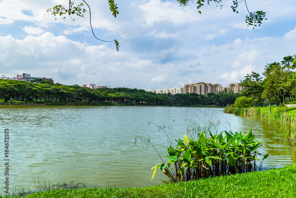 Beautiful lake view of Punggol Park in Singapore with blue sky and nice ...