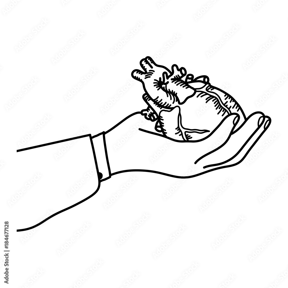 Hand holding a human heart vector illustration outline sketch hand ...