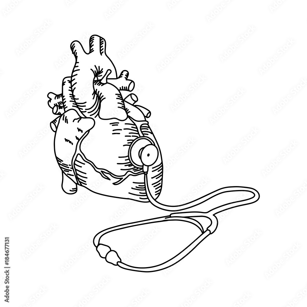 Human Heart With Stethoscope Vector Illustration Outline Sketch Hand