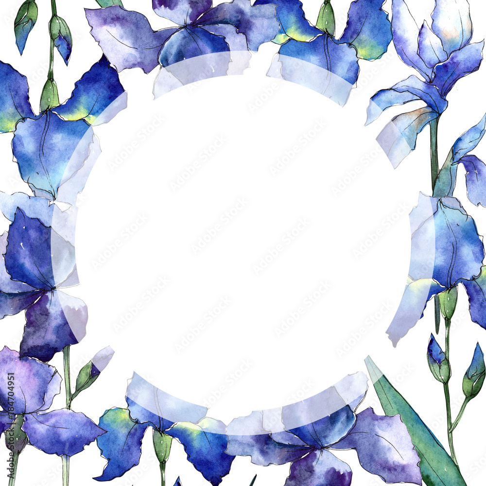 Wildflower iris flower frame in a watercolor style isolated. Full name ...