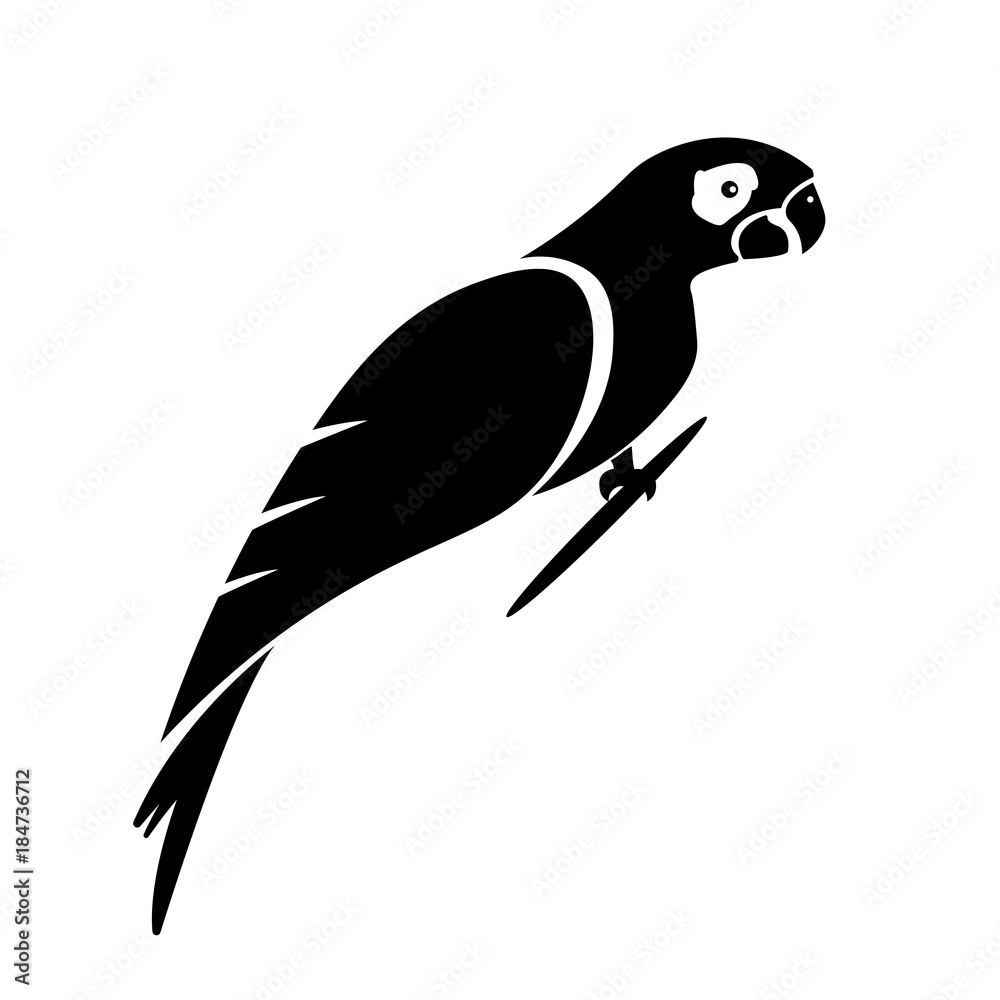 Bird Icon Png