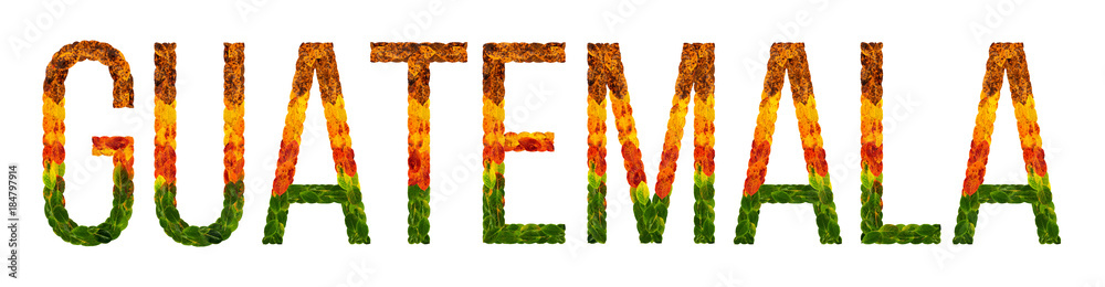 word guatemala country is written with leaves on a white insulated ...