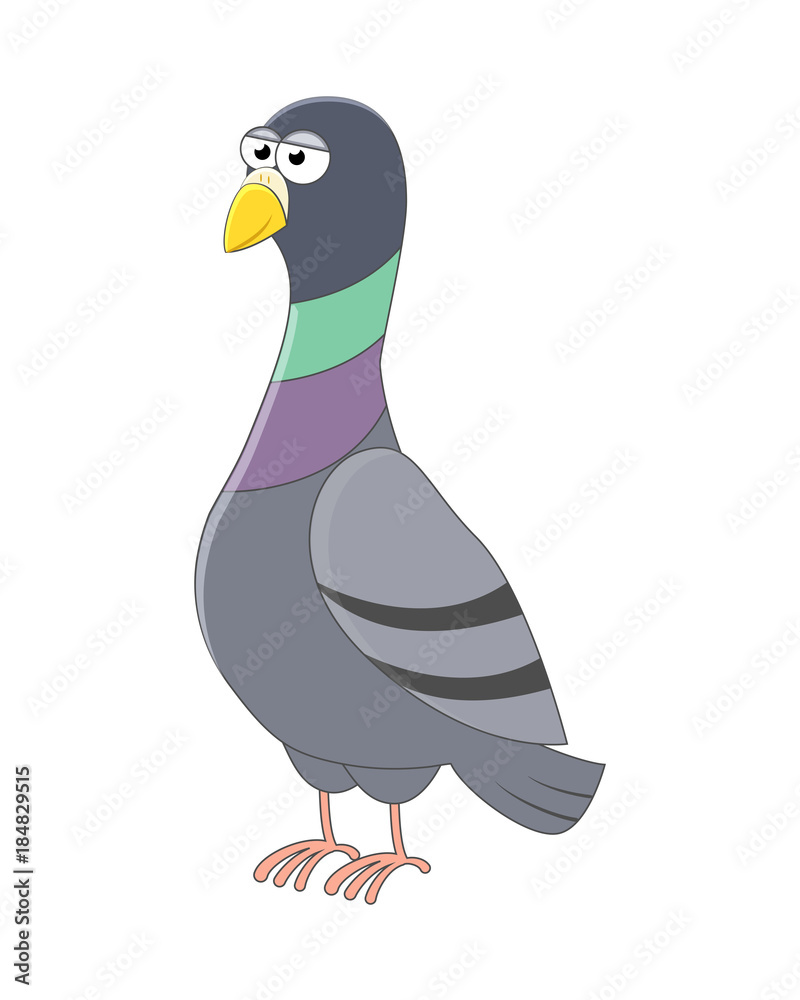 Pigeon Cartoon Images