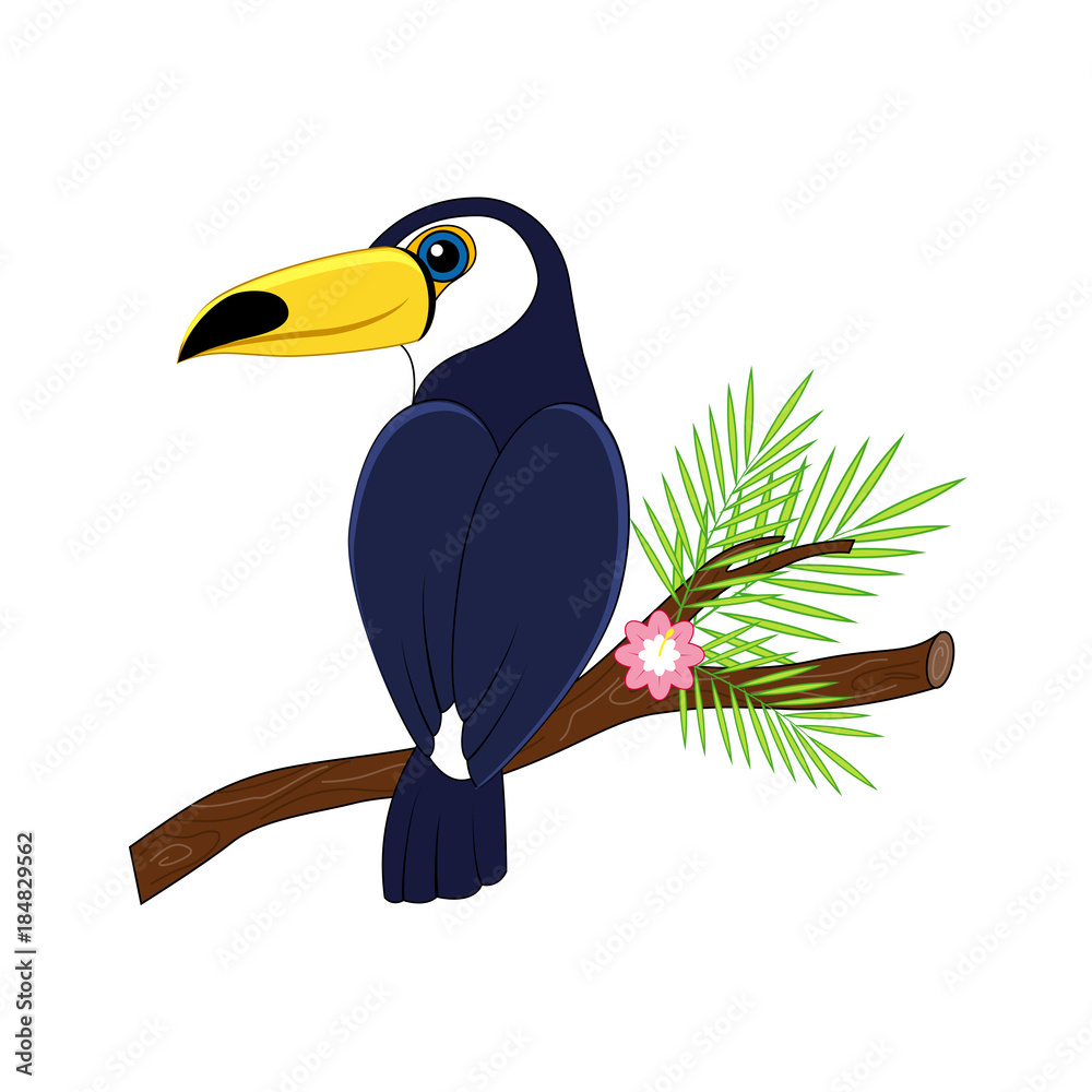 Cute cartoon toucan. Vector illustration. Smiling toucan. Vector exotic bird esolated on white ...