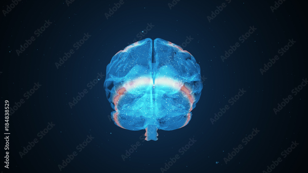 Extraordinary brain activity and the emerging headache from ...